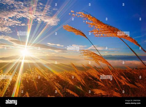 Distant View Of Mt Fuji Mt Fuji Mt Yagatake Mountain Range And