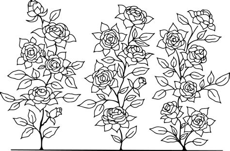 Design Vector Outline Rose Flower 7802768 Vector Art At Vecteezy
