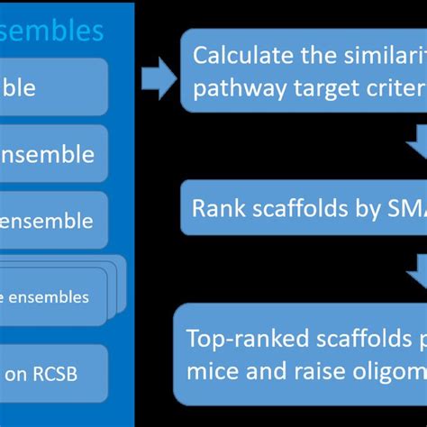 The Workflow Of In Silico Screening Download Scientific Diagram