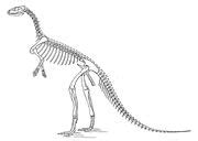 Nanosaurus Jurassic Park Institute Wiki Fandom