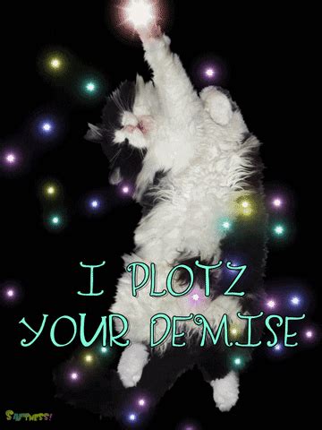 Cat Meme Plotting Cat  Cat Meme Plotting Cat Dancing Cat