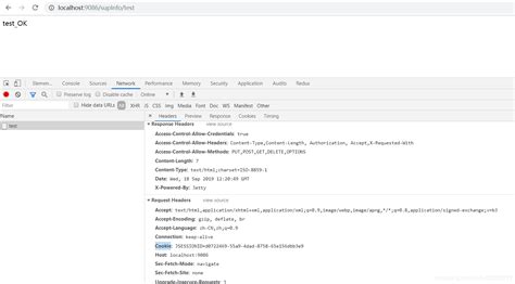 前台请求不带cookie的问题解决方案大汇总net6 请求头没有包含cookie Csdn博客