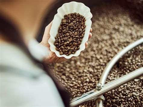 Convection Coffee Roasters How Do They Work 図鑑project