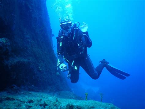 Dive In Action Actualizado 2026 Qué Saber Antes De Ir Con Reseñas