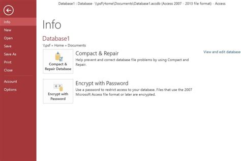 MS Access Troubleshooting Repair Corrupt MS Access Database 2007 2010 2013 2016