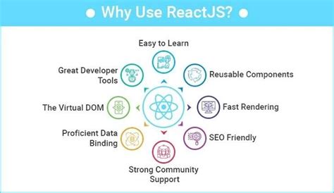 Why React Js Is So Usefull Rohan Kumar