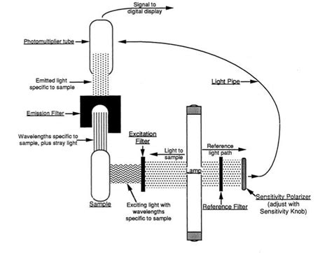 Instrument Design Of Turner Designs 10 Au Field Fluorometer As Shown Download Scientific