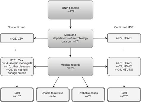 Flowchart Illustrating The Herpes Simplex Encephalitis Diagnoses Download Scientific Diagram