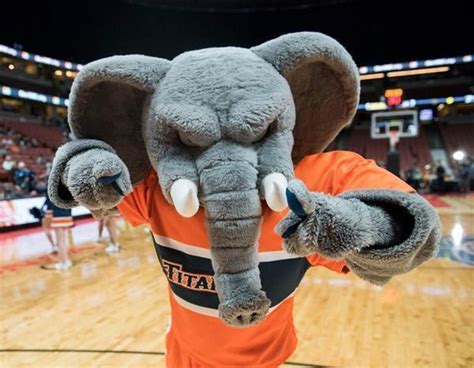 California State University Fullerton On Linkedin Free Tickets Hey