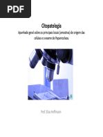 Coleta De Exame Citopatológico Passo A Passo Pdf