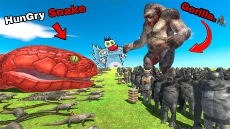 Gorilla Vs Snake Fight