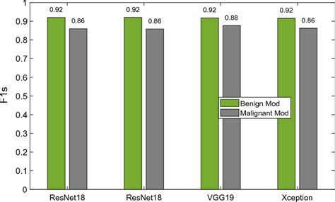 Histopathological Class Based Segmentation Performance The Bars