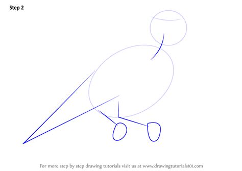 How To Draw A Lark Bunting Birds Step By Step