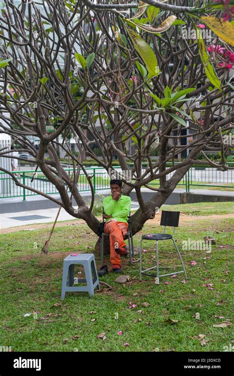 Singapore Republic Of Singapore Asia A Worker Rests Under A Tree