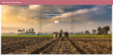 Github Ayush1289potato Disease Classification