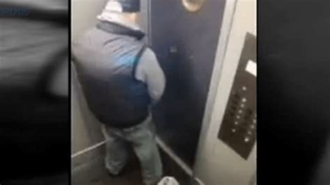 Pee Za Delivery Man Caught Urinating In Elevator While Delivering