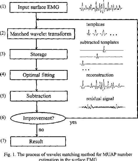 Figure 1 From Motor Unit Action Potential Number Estimation In The Surface Electromyogram