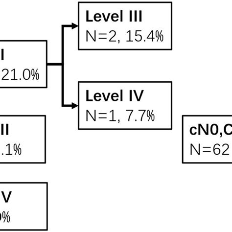 Ipsilateral And Contralateral Lymph Drainage To Each Neck Level In Cn