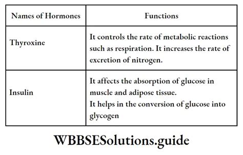 Wbbse Class 10 Life Science Chapter 1 Control And Co Ordination In