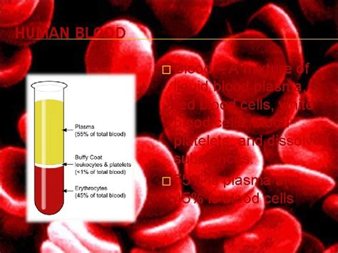Blood Circulation And Transport Chapter 2 The Transport