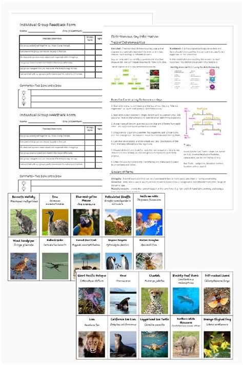 Classification Dichotomous Key Group Task Assessment By Mrs Govs Classroom