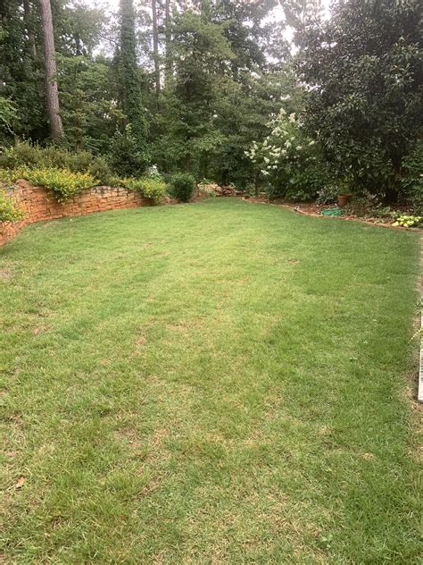 Our Grass Is Always Grass Monkey Landscape And Grading