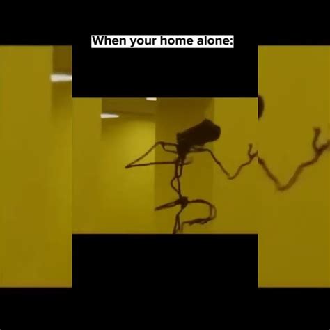 من وقتی خونه تنهام😂 Youtube