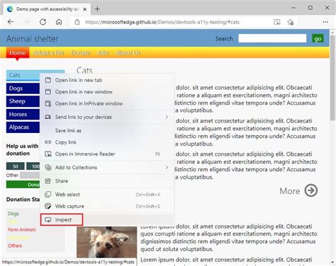 Overview Of Devtools Microsoft Edge Developer Documentation