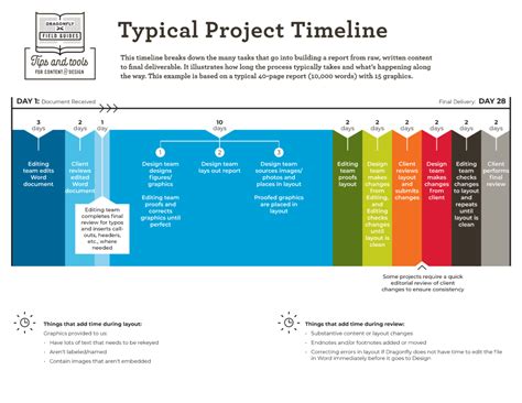 Typical Project Timeline Dragonfly Editorial