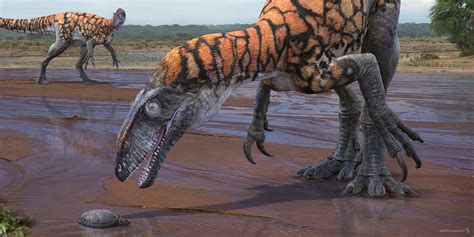 Australovenator Sol90 On Behance