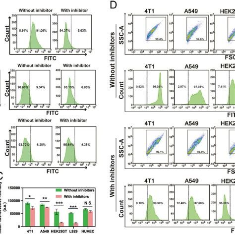 Flow Cytometry Assay For Cellular Uptake Of Different Albumin Download Scientific Diagram