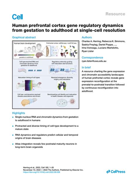 Human Prefrontal Cortex Gene Regulatory Dynamics From Gestation To Adulthood At Single Cell