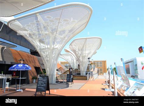 Five Solar Trees Lamps Of The German Pavilion At EXPO Milano 2015 Called Idea Seedlings Use