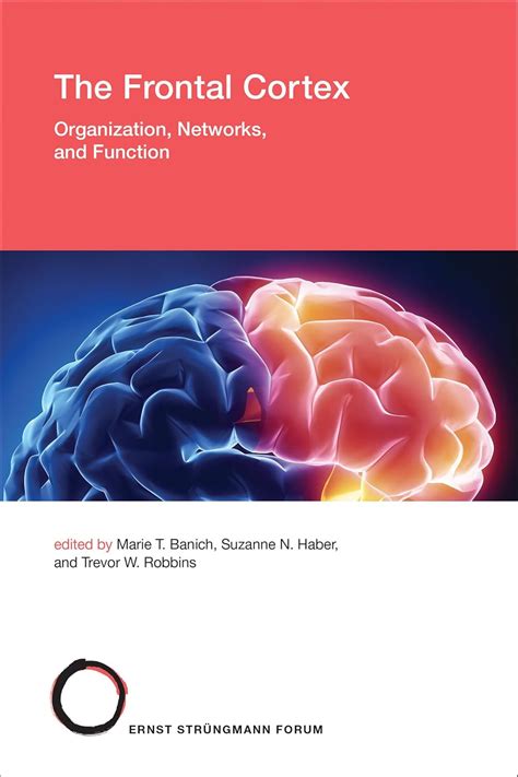 the frontal cortex organization networks and function banich marie t haber suzanne n
