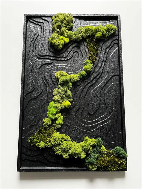 Black Topography Wall Art With Natural Moss Etsy Unusual Wall Art