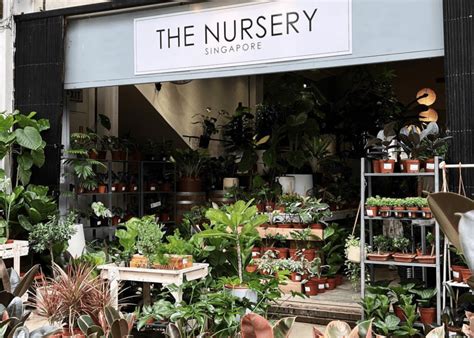 Plant Nursery Online Shopping At Isabel Kleeman Blog