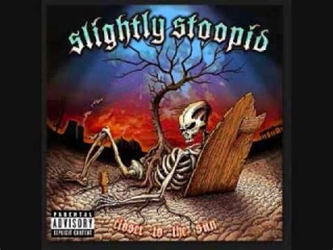 Slightly Stoopid Album Artwork