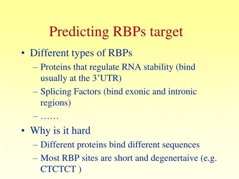 Ppt Predicting Rna Structure And Function Powerpoint Presentation