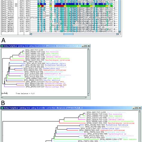 The Belvu Multiple Sequence Alignment Viewer Belvu Is A Multiple
