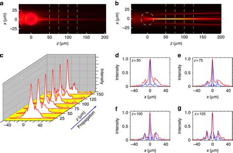 Experimentally Observed Propagation Dynamics Of Gravitationally