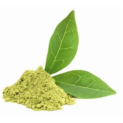 Green Tea Extract At Best Price In Faridabad By Prs Herbal And Health