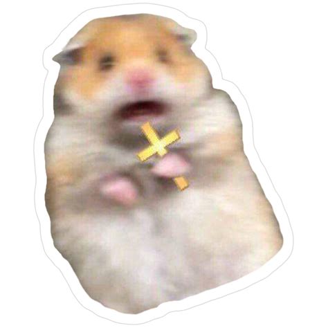 Hamster Who Is Afraid Sticker By Km93x Hamster Emoji Stickers