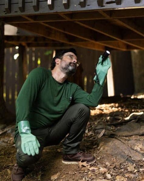 Identify And Get Rid Of Termites Aptive Pest Control