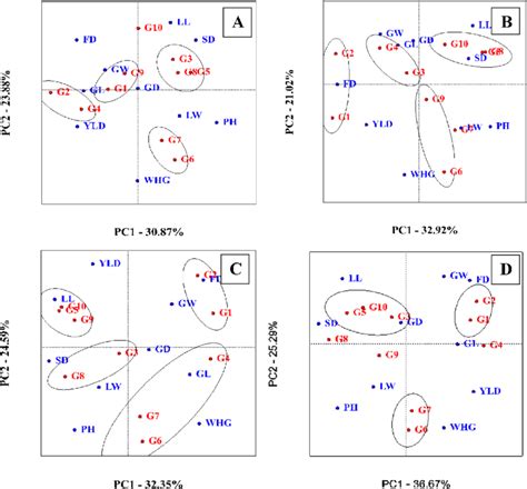 Classification Diagrams Between Genotypes Based On Traits A Karaj Download Scientific Diagram
