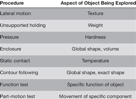 Exploratory Procedures Of Haptic Analysis Performed By The