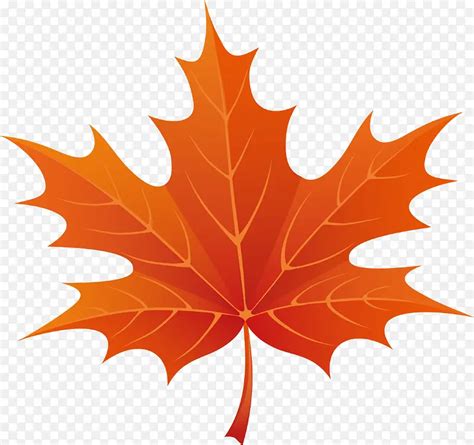 卡通红色枫叶png图片素材下载图片编号qnzwazwz 免抠素材网