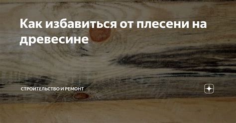 Как избавиться от плесени на древесине | Строительство и ремонт | Дзен