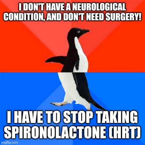 Attn Trans Sisters Album On Imgur