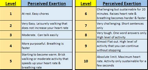 Things You Need To Know About Rate Of Perceived Exertion