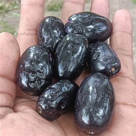 Sonu Khan Sonn8868 • Threads Say More